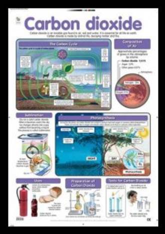Carbon Dioxide - Poster - Posters - The Science Shop